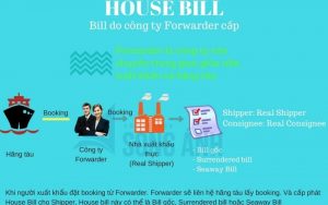 HBL Là Gì? Phân Biệt Giữa HBL Và MBL Trong Vận Đơn Hàng Hóa