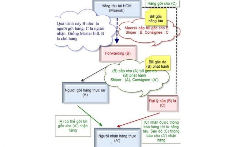 HBL Là Gì? Phân Biệt Giữa HBL Và MBL Trong Vận Đơn Hàng Hóa