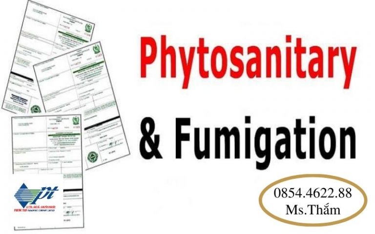 Fumigation Certificate Là Gì? Nội Dung Của Fumigation Certificate